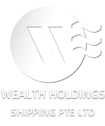WEALTH HOLDINGS