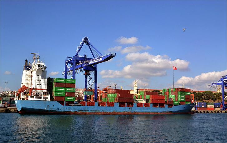 Wealth Holdings Group